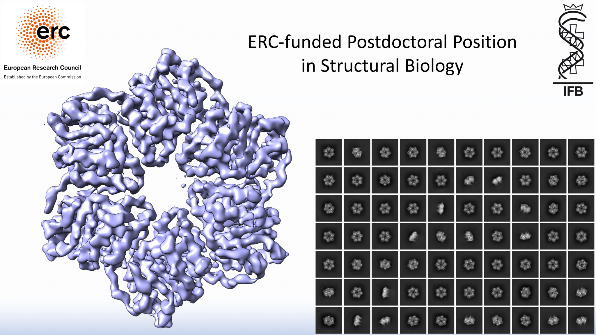 ERC Postdoctoral Research Fellow position – MRSzymanski lab